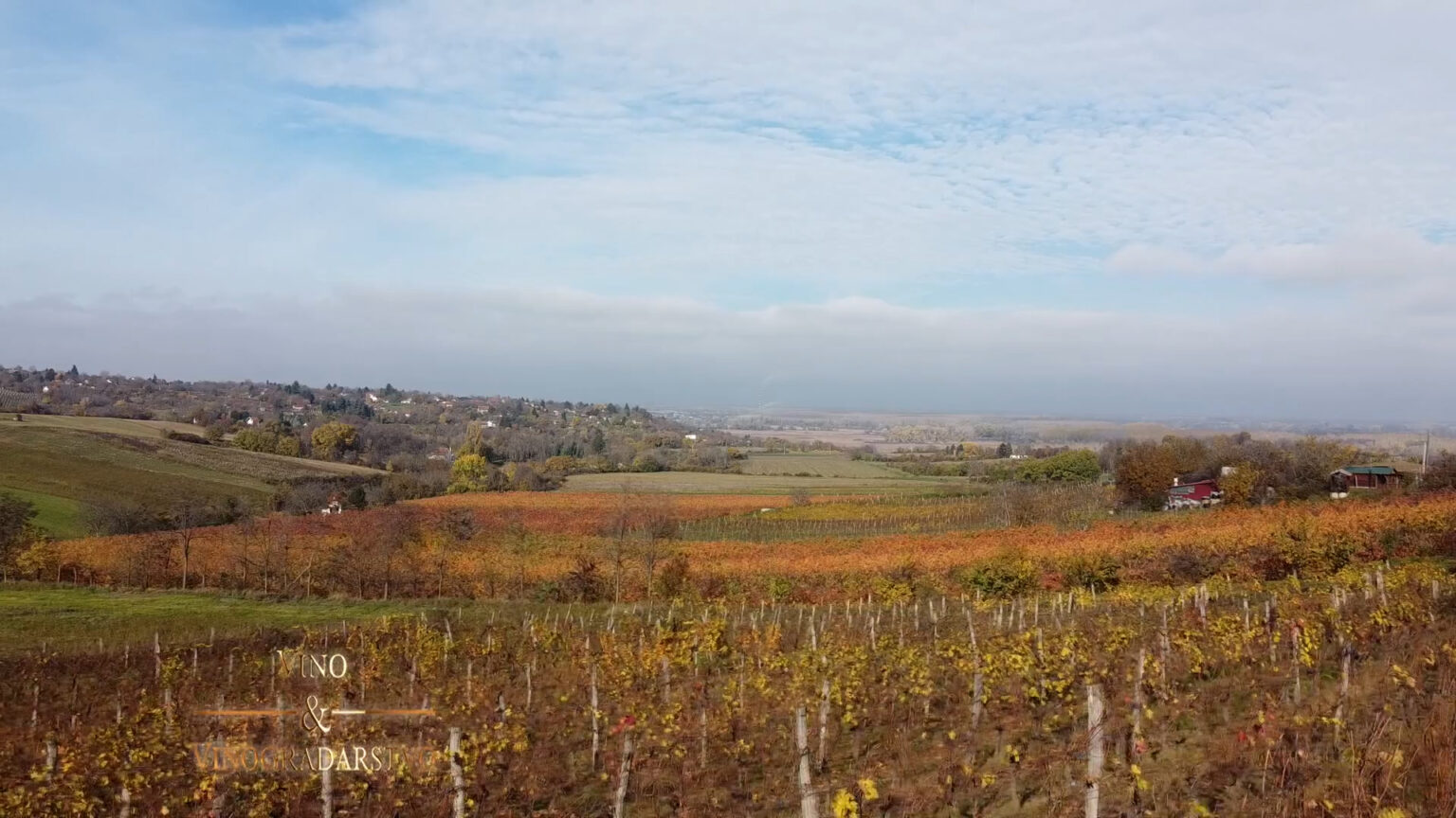 Bermet vino - Šta je i kako se pravi?